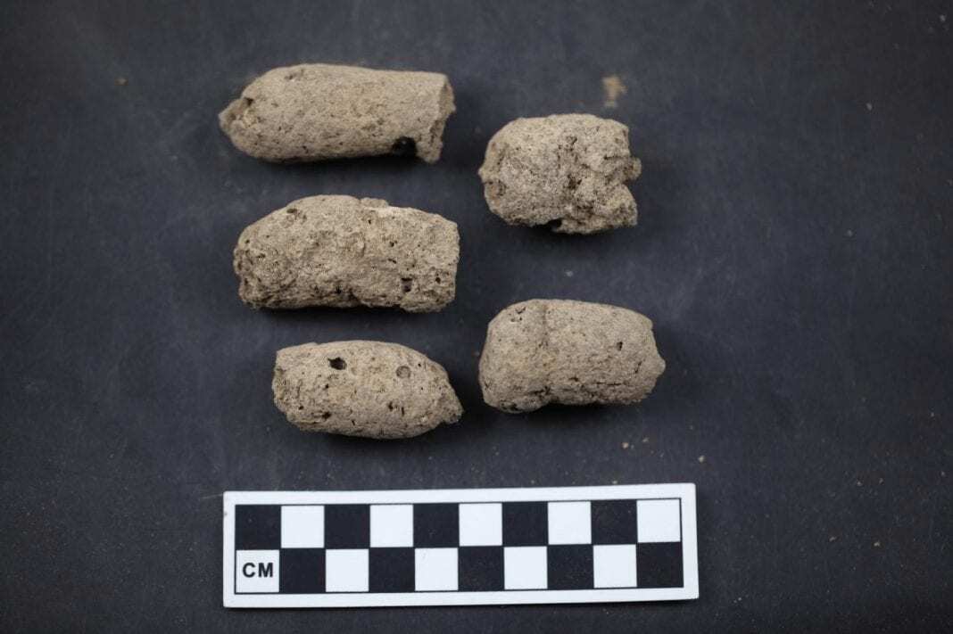 The origin of feces: coproID reliably predicts sources of ancient poop