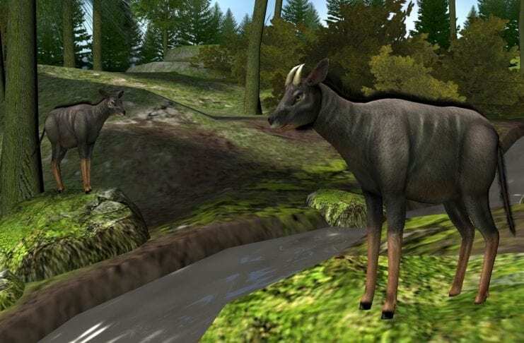 How the goat-like gorals of the Himalaya can be better protected ...