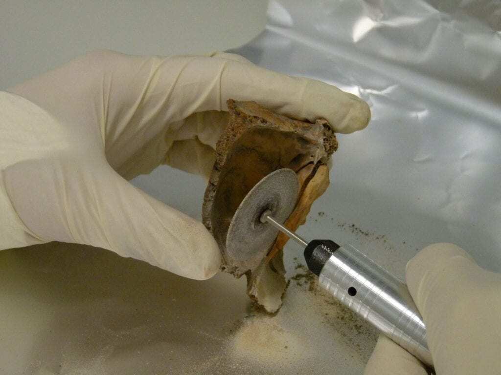 Bronze Age DNA Shows Direct Genetic Link to Current Inhabitants of ...