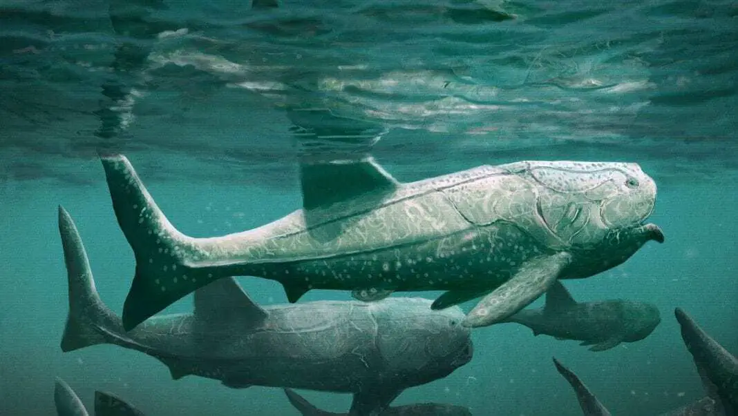 Titanichthys, a giant armored fish was a Suspension Feeder