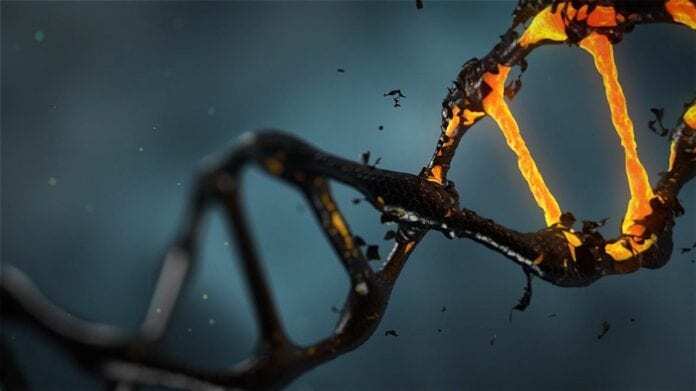 Ancient DNA reveals complex genetic history of near east at dawn of ...