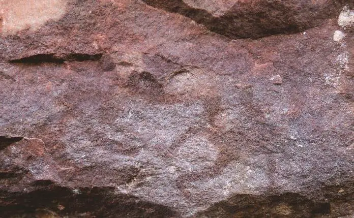 Unusual Rock Art Discovered in Australia by Archaeologists