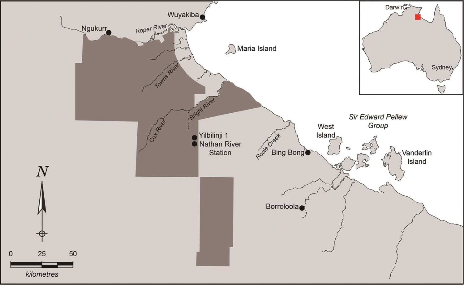 Unusual Rock Art Discovered in Australia by Archaeologists