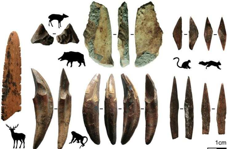 Archaeologists Discover Eurasia’s Earliest Example of Bow and Arrow ...