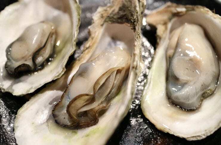 Ancient Oyster Shells Provide Historical Insights - HeritageDaily ...