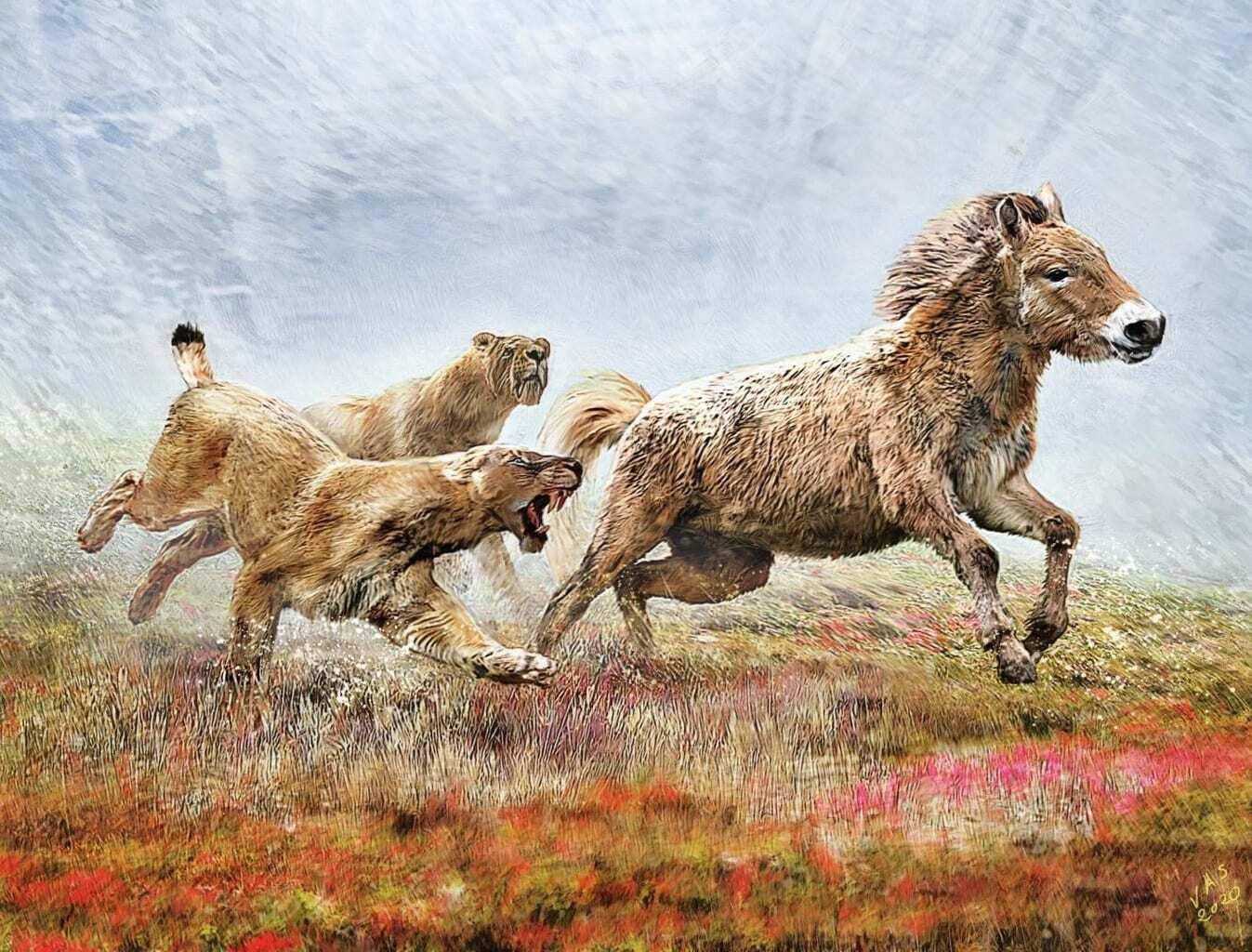 DNA Study Reveals Insights About the Scimitar-Toothed Cat