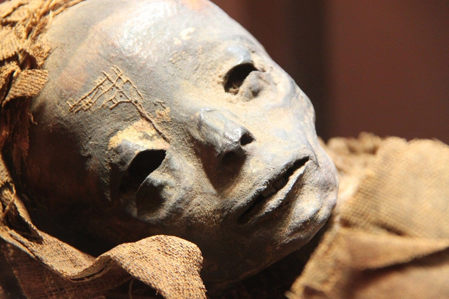 A Non-Destructive Method for Analyzing Ancient Egyptian Embalming Materials
