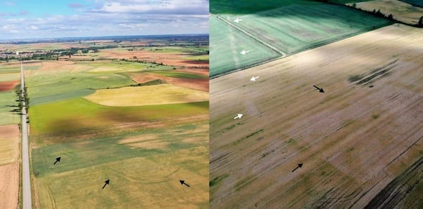 Discovery of 66 New Roman Army Sites Gives Clues About Empire's ...