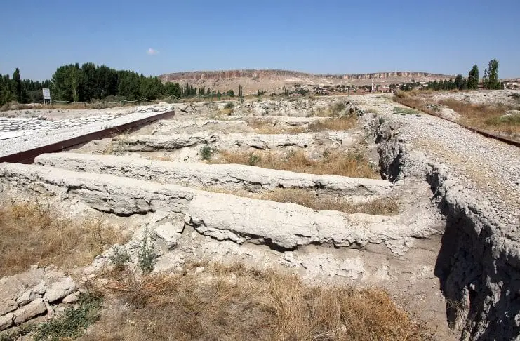 Early Neolithic Sheep-Breeders Had High Levels of Mortality Among Young ...