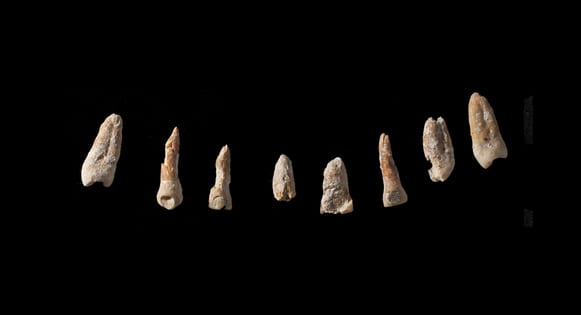 Ancient Maya Ambassador's Bones Show Life of Privilege and Hardship