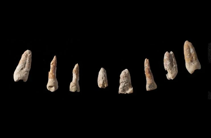 Ancient Maya Ambassador's Bones Show Life of Privilege and Hardship ...