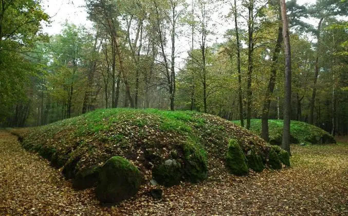 Archaeologists Discover Ancient Settlements Associated With “Polish ...
