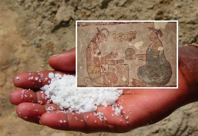 Mural Depicts First Documented Record of Maya Salt Commodity