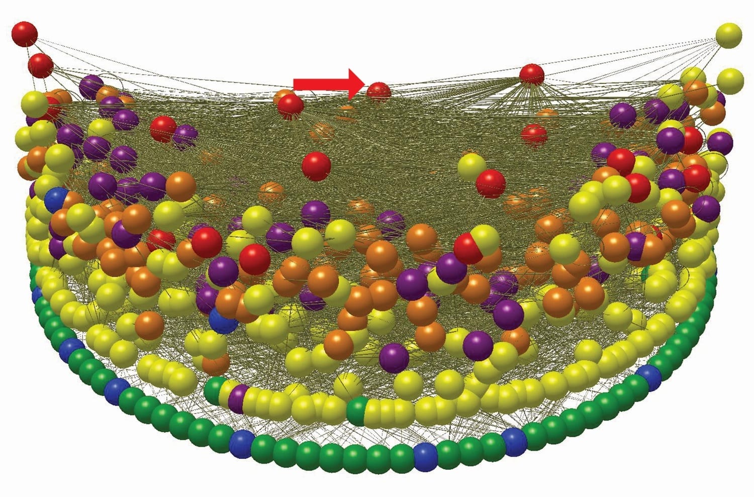 Ancient food webs can chart sustainable futures