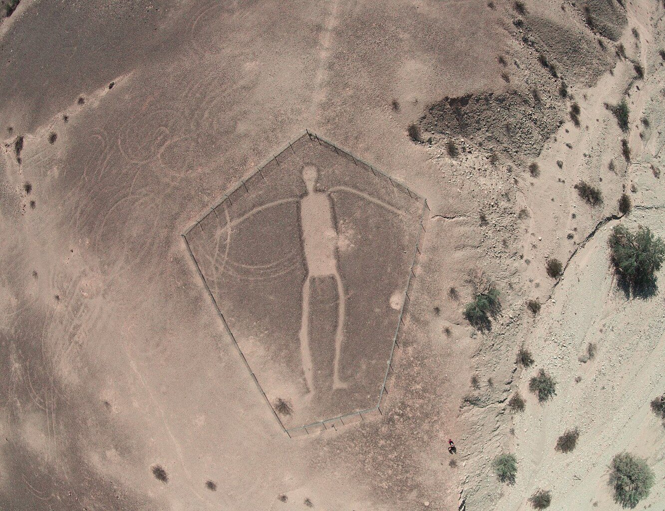 The Giant Blythe Intaglios Desert Geoglyphs