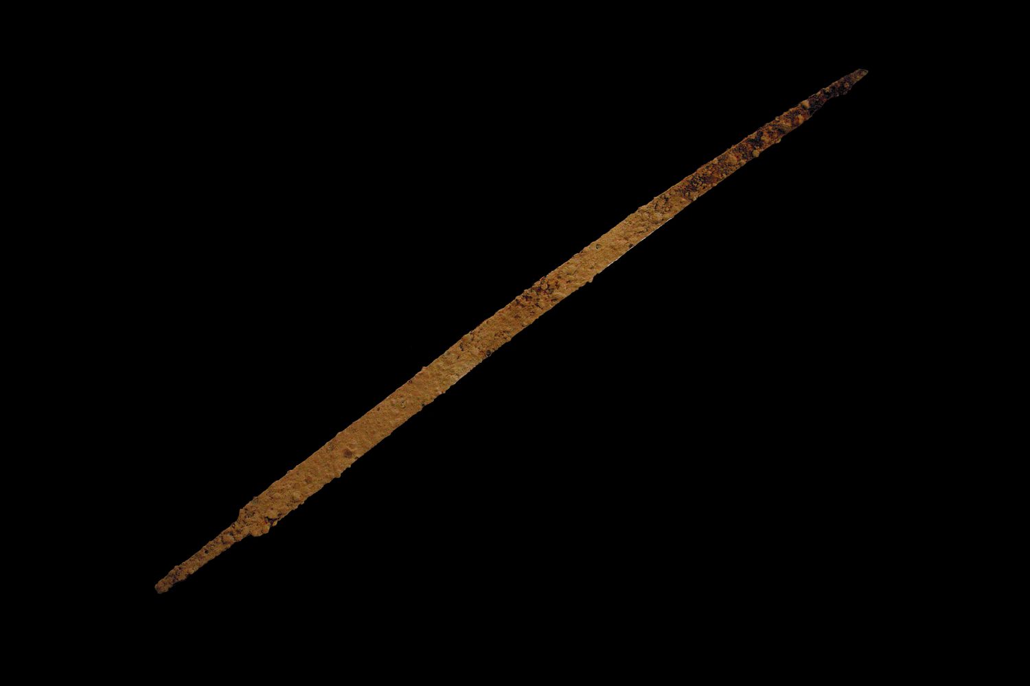 Rare langsax fighting blade discovery