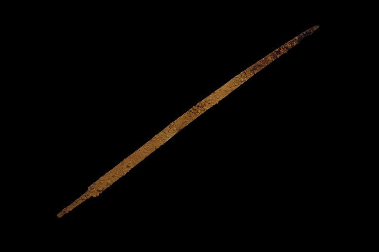 Rare langsax fighting blade discovery