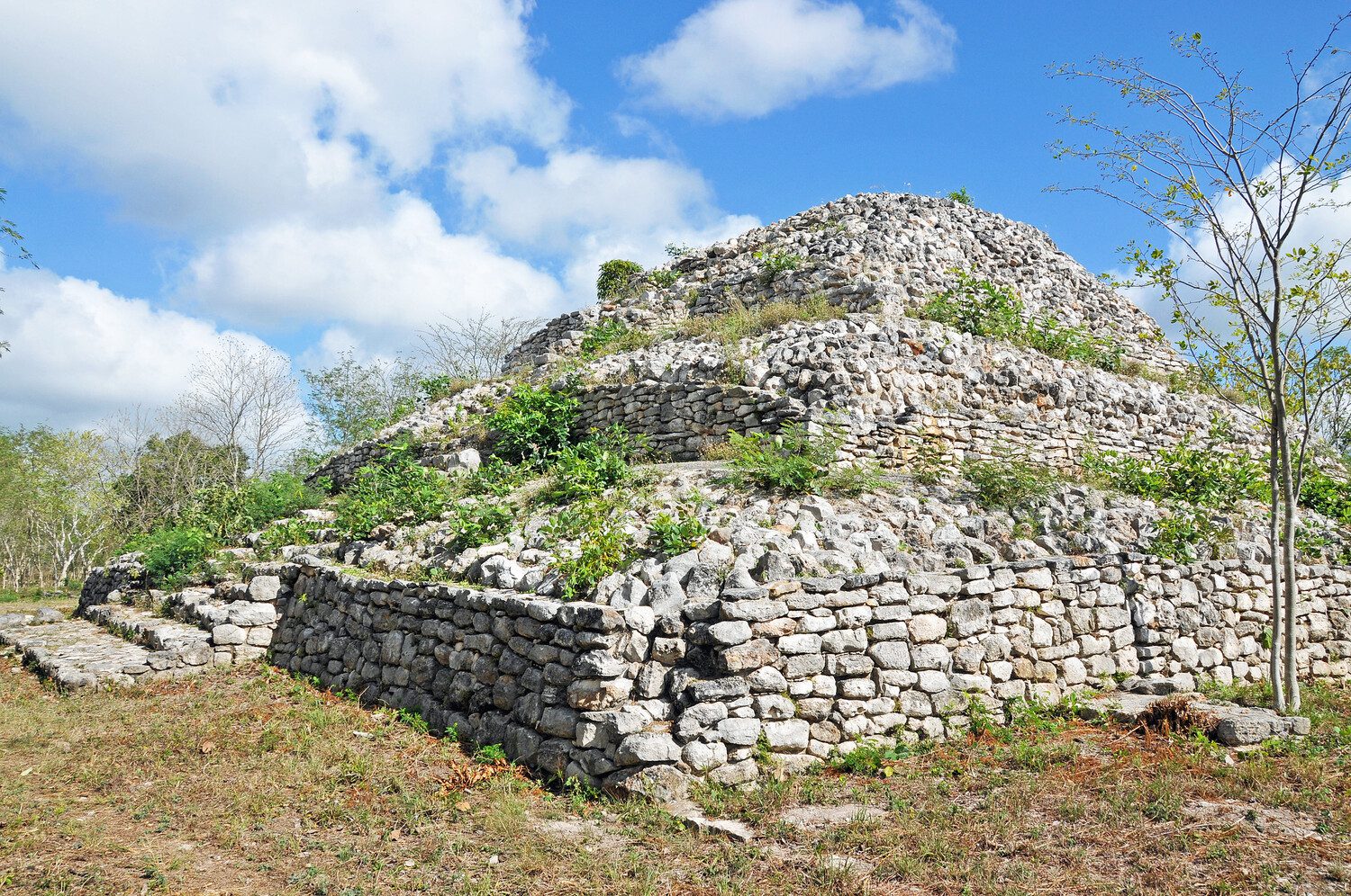 Maya rulers left their mark on monumental complexes