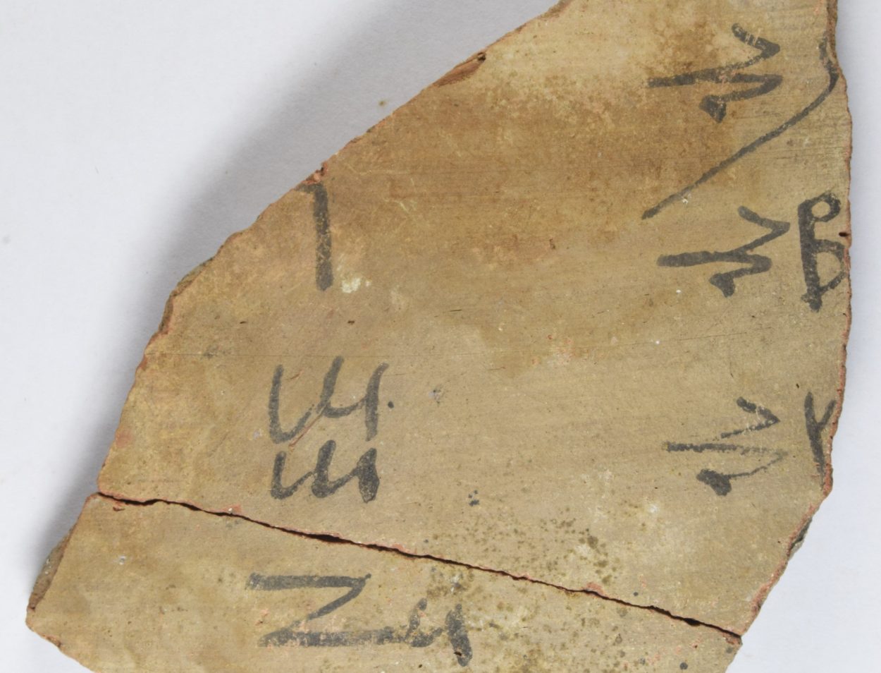 18,000 inscribed sherds documents life in Ancient Egyptian city of Athribis