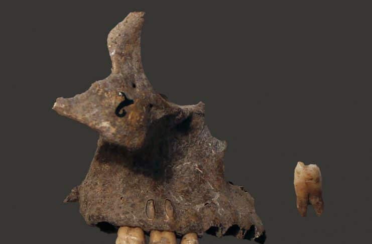 African man buried in Stone Age site in Portugal - HeritageDaily ...