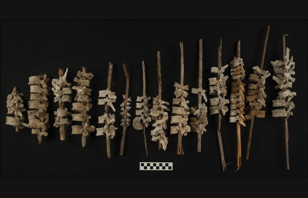 Archaeologists unearth human spines threaded onto reed posts