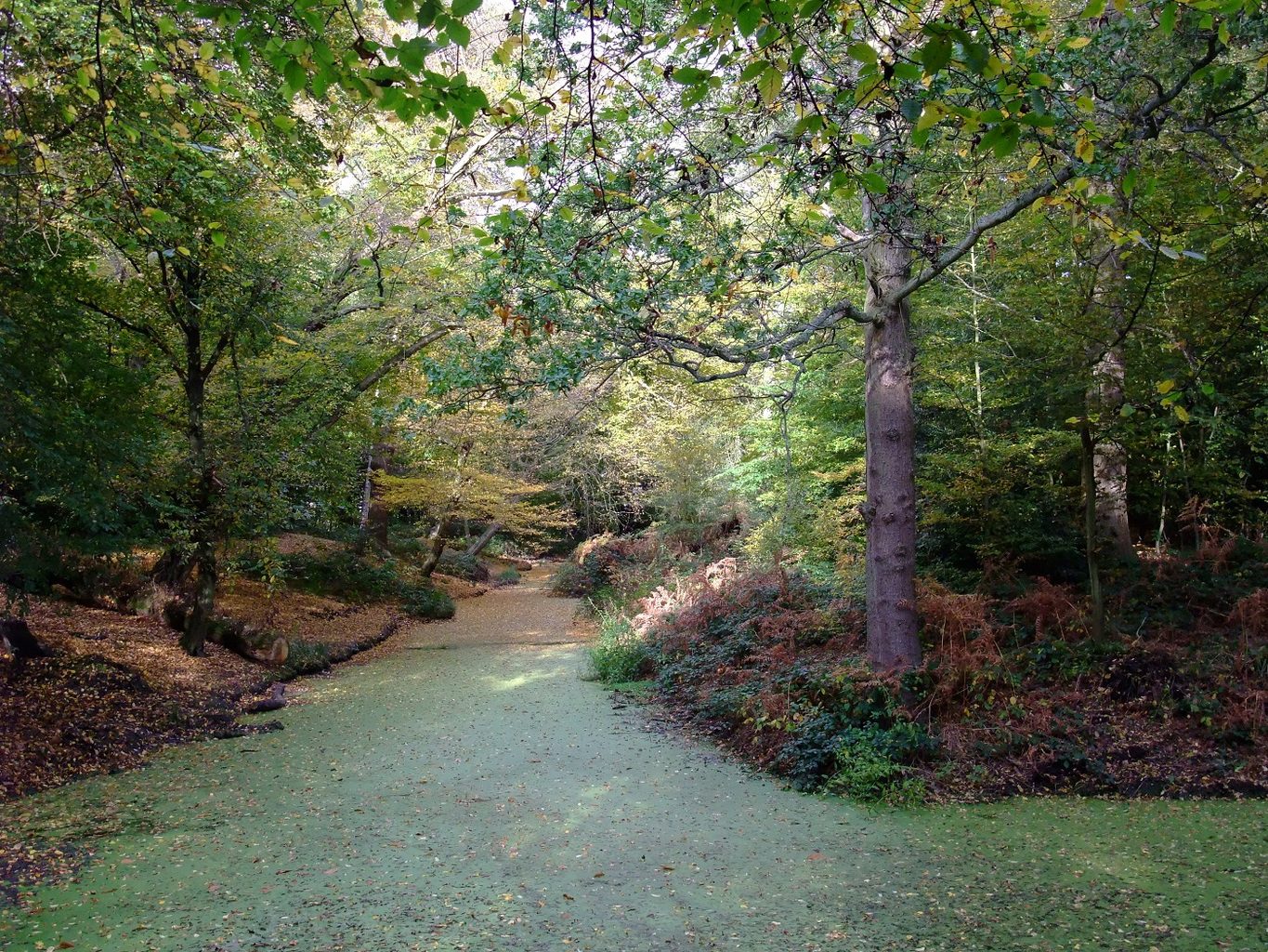 Camlet Moat – London’s Camelot