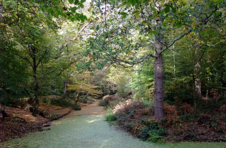Camlet Moat – London’s Camelot - HeritageDaily - Archaeology News