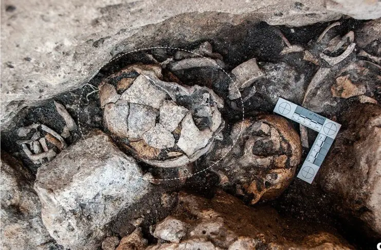 Archaeologists find evidence of the first successful ear surgery 5,300 ...