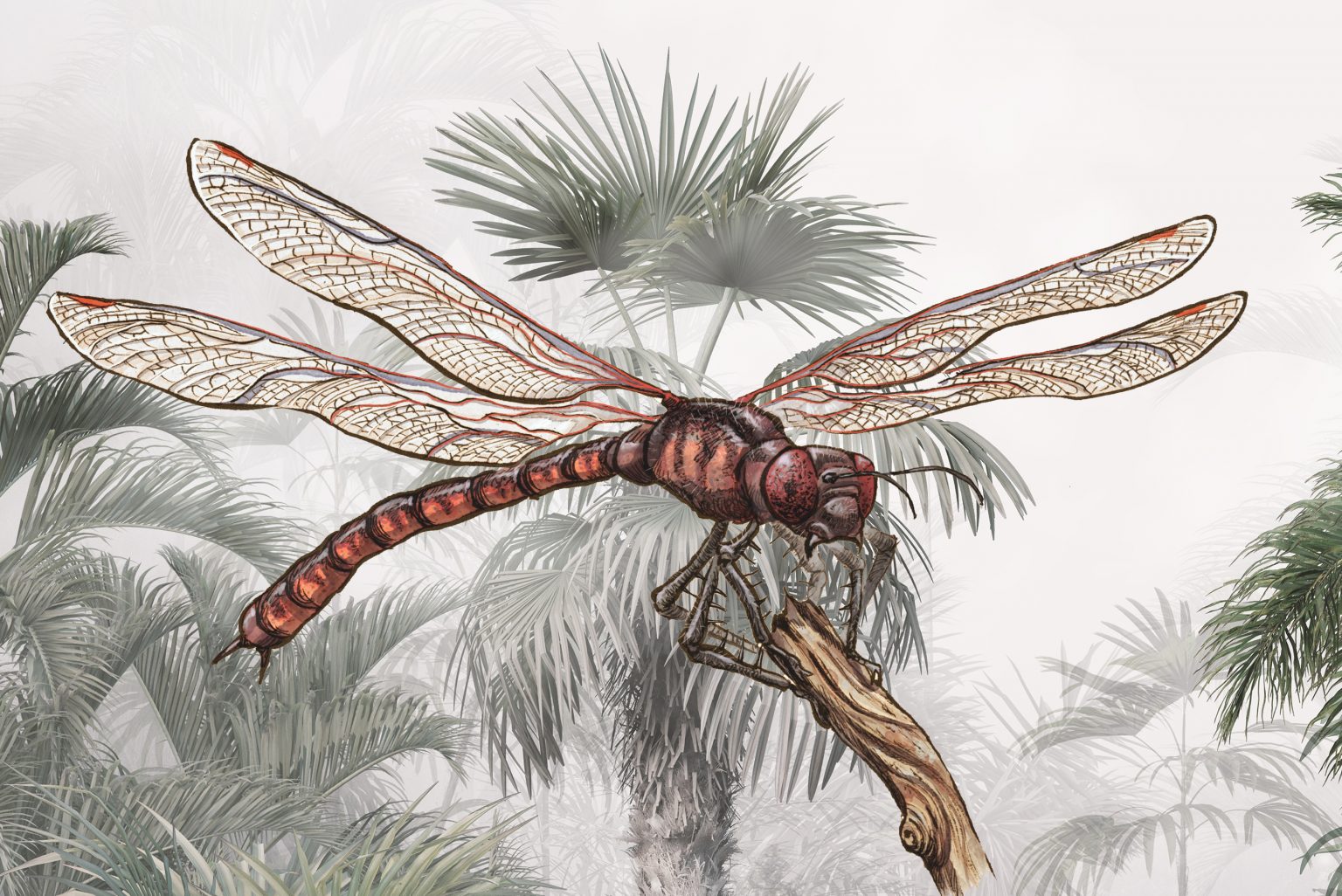 The rise of the giant prehistoric bugs