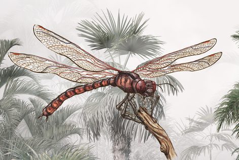 The rise of the giant prehistoric bugs