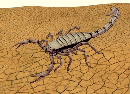 The rise of the giant prehistoric bugs