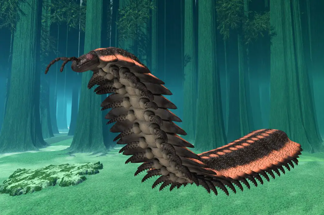 The rise of the giant prehistoric bugs