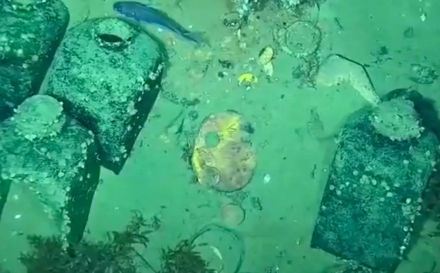 Images of the San José treasure galleon revealed