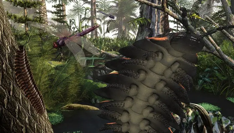 The rise of the giant prehistoric bugs