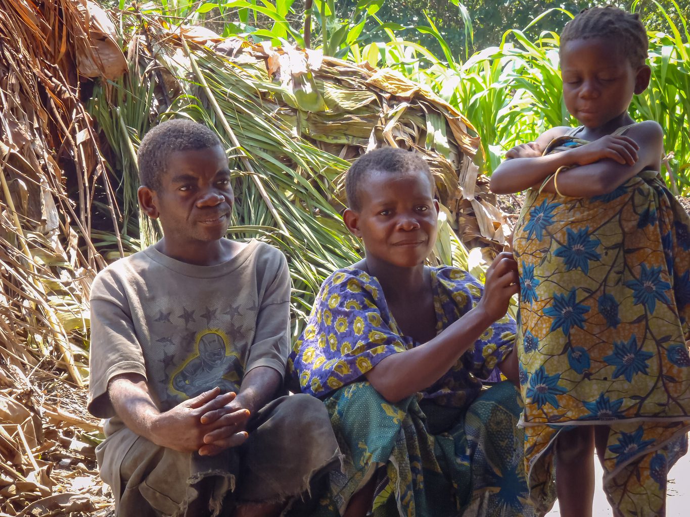 The Role Of The Mbuti Pygmy Woman Heritagedaily Archaeology News