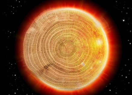 Tree rings reveal devastating radiation storms