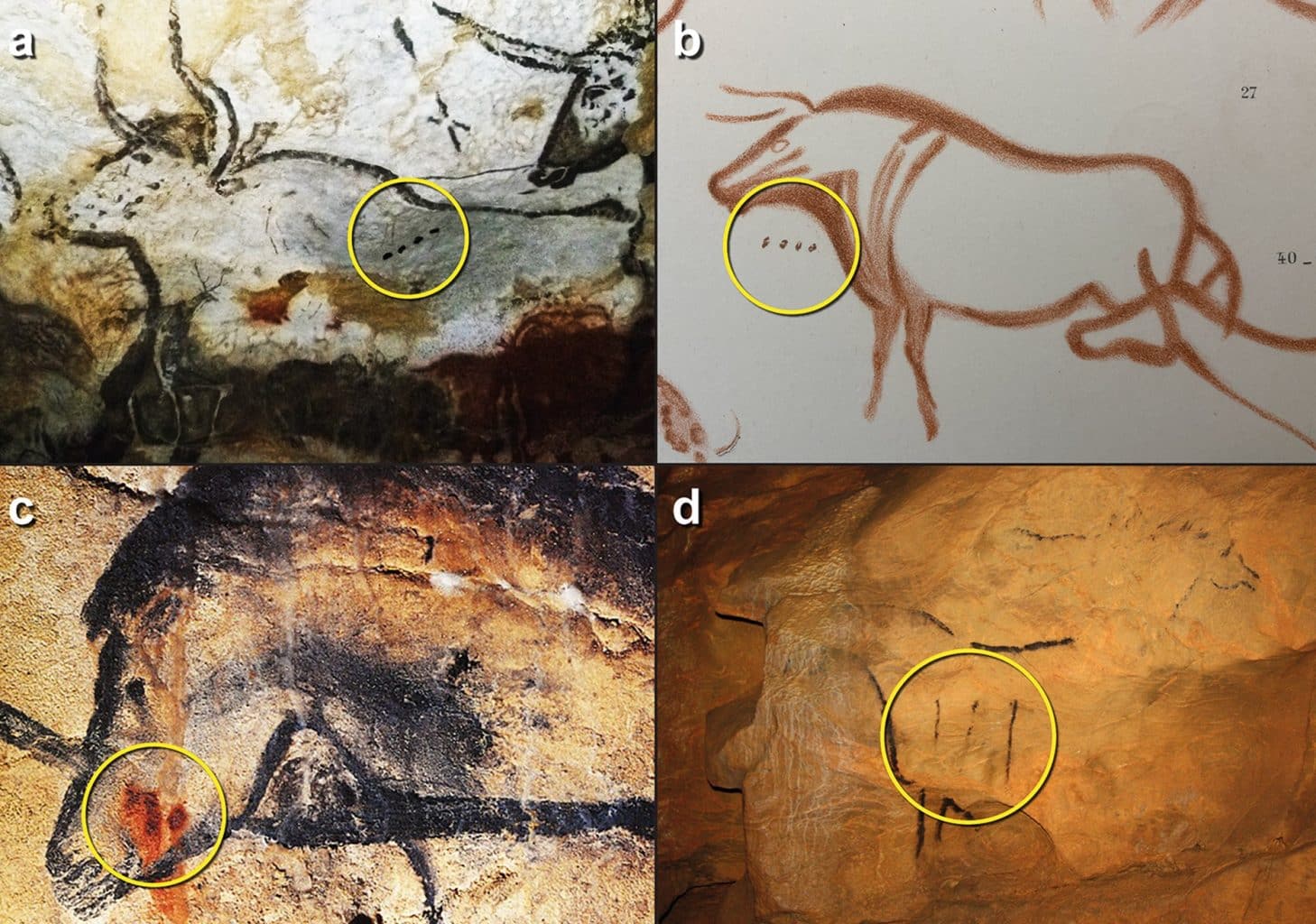 Prehistoric Cave Art Symbols