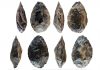 New discovery places mass obsidian hand axe production to 1.2 million ...