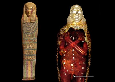 CT scan reveals 49 amulets in Ancient Egyptian mummy