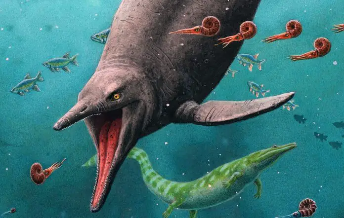 Ichthyosaur found on remote Artic island upends previous evolutionary ...