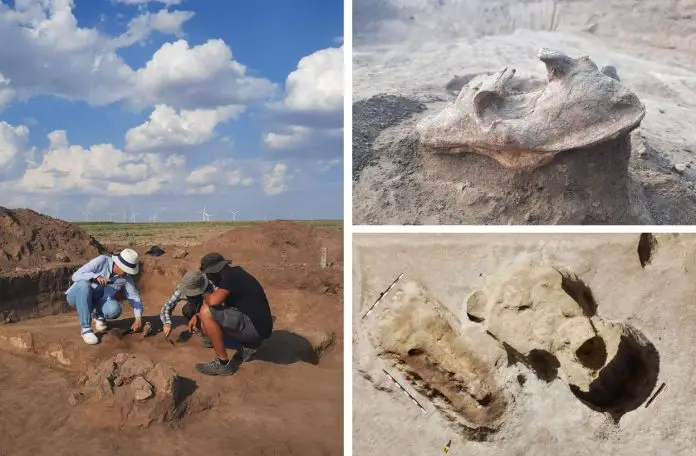 Wolf skull deposited in grave to protect against deceased’s spirit