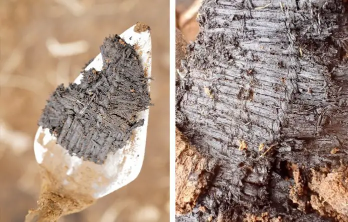 Archaeologists uncover 3,000-year-old ancient weavings in Alaska