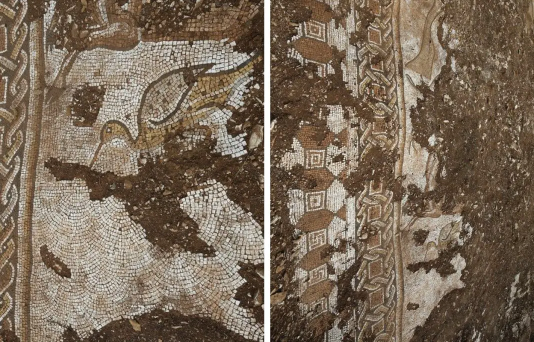 Roman mosaics uncovered at villa rustica site in Turkey