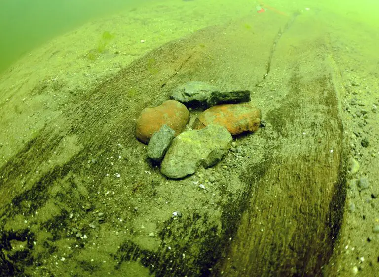 Cache of ancient canoes found in Lake Mendota