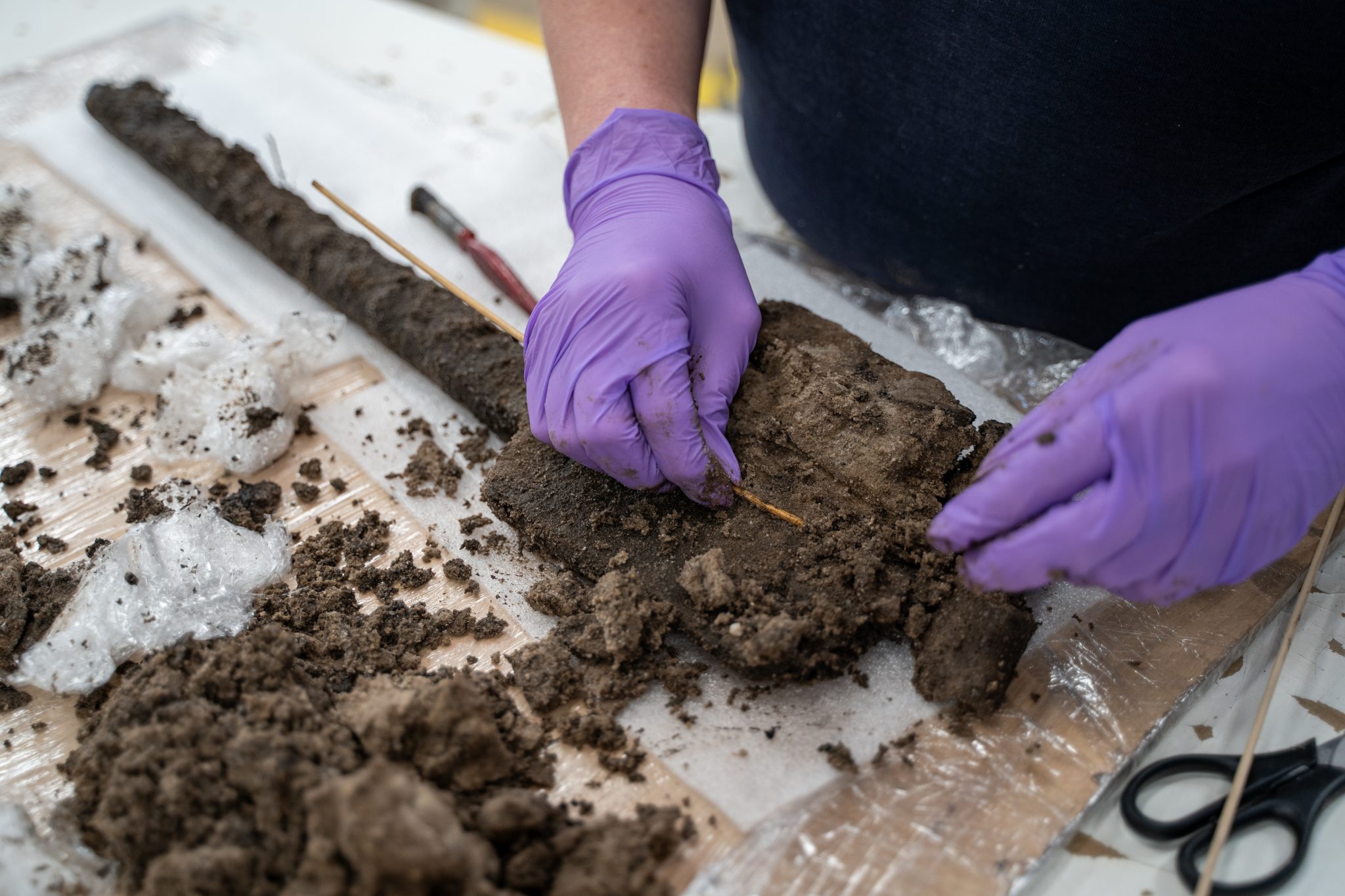Preserved Bronze Age spade found during “Moors at Arne” excavation