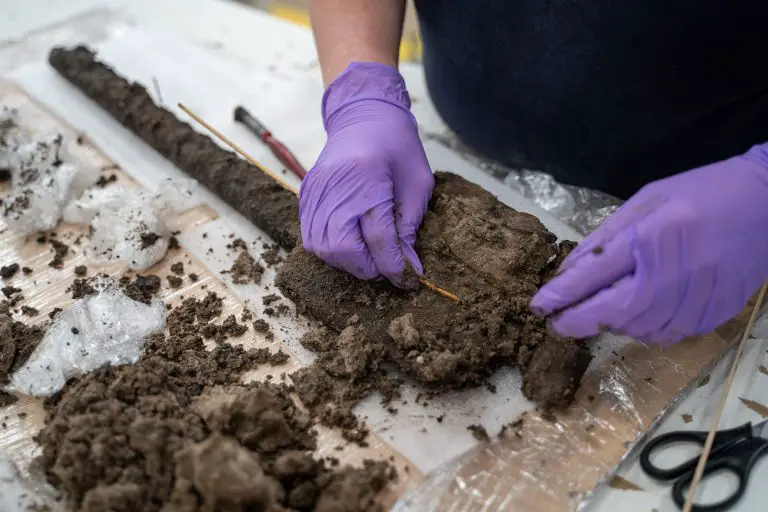 Preserved Bronze Age spade found during “Moors at Arne” excavation