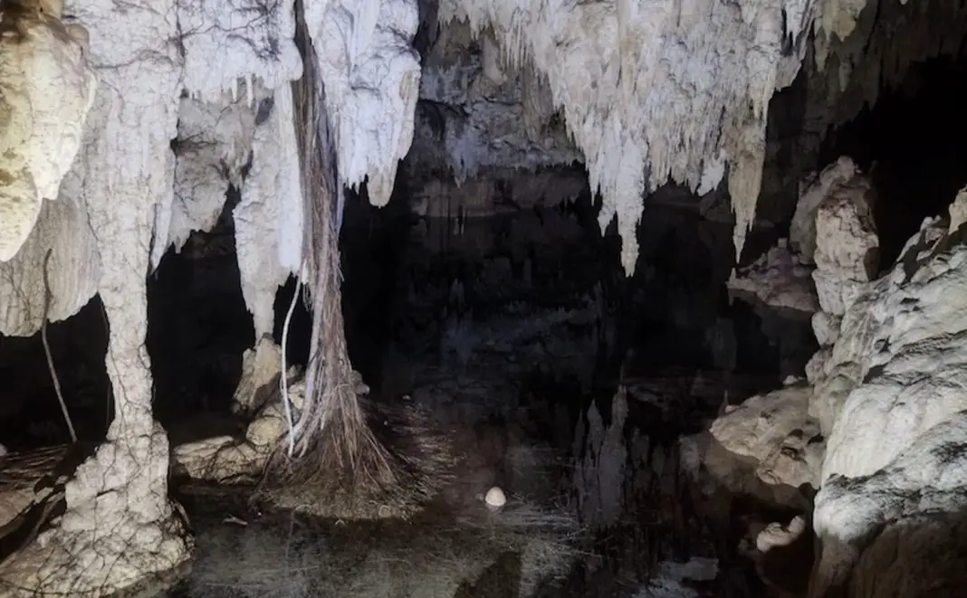 Maya ritual offering found in Yucatán caves