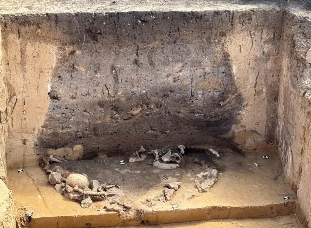 Sacrificial pits reveal mysterious Neolithic practices