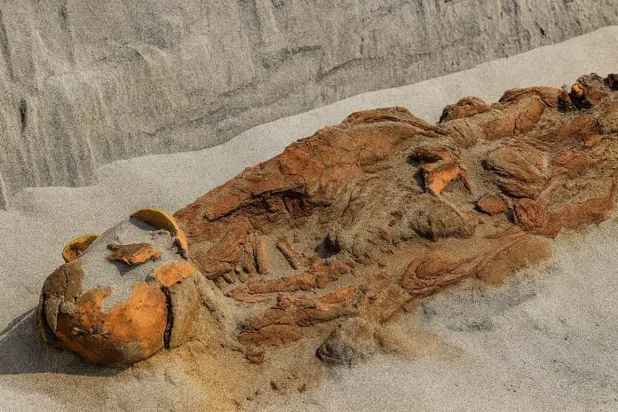 Ritual tomb discovered in Northern Peru reveals evidence of human sacrifice