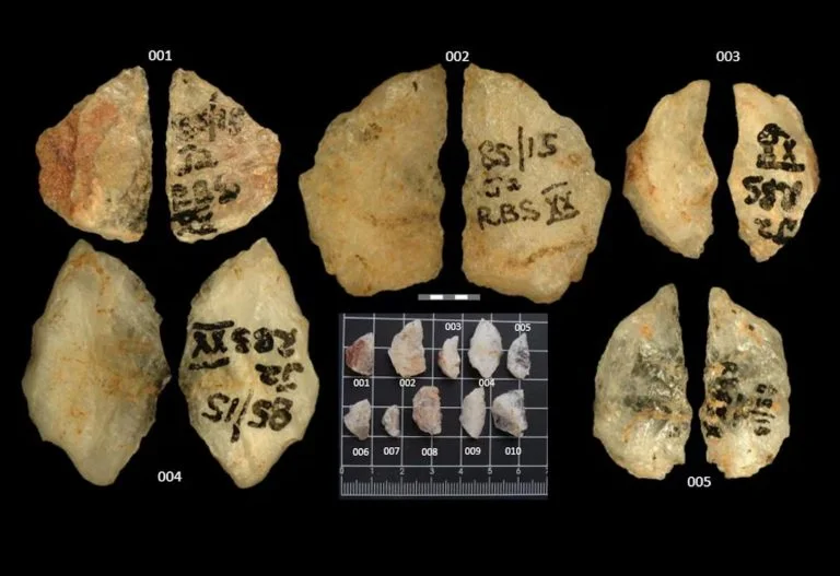 World’s oldest poison arrows discovered